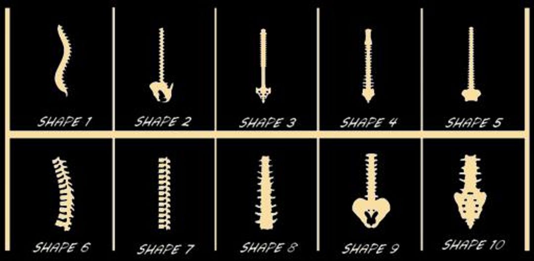 Smooth Laser Cut Spine Shape Set 1 - Unfinished Cutout - Many Sizes and ...