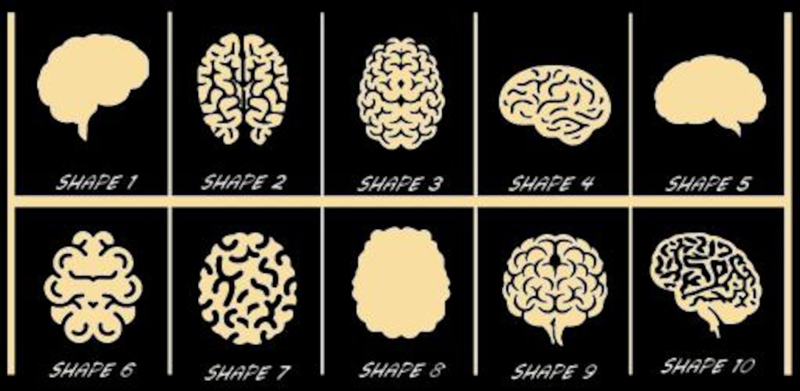 Smooth Laser Cut Brain Shape Set 1 - Unfinished Cutout - Many Sizes and ...