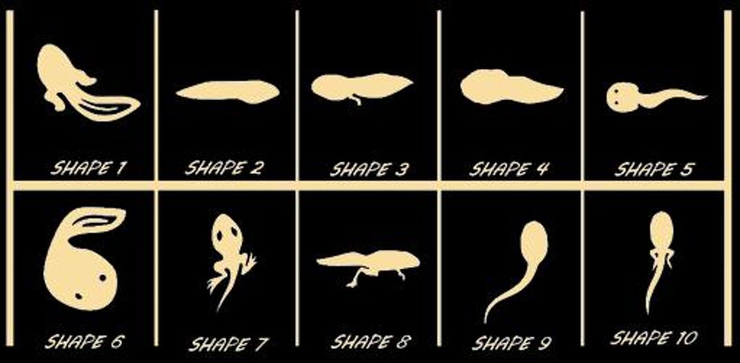 Smooth Laser Cut Tadpole Shape Set 1 - Unfinished Cutout - Many Sizes ...