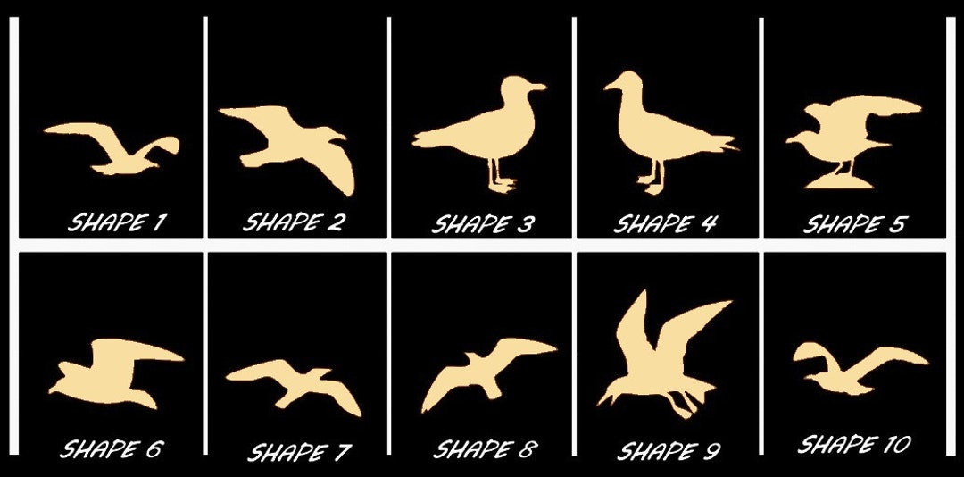 Smooth Laser Cut Seagull Shape Unfinished Cutout Multiple Sizes, Styles ...