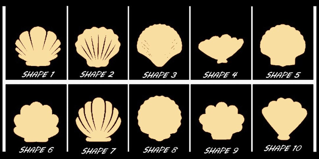 Smooth Laser Cut Seashell Shape Set 1 - Unfinished Cutout - Many Sizes ...