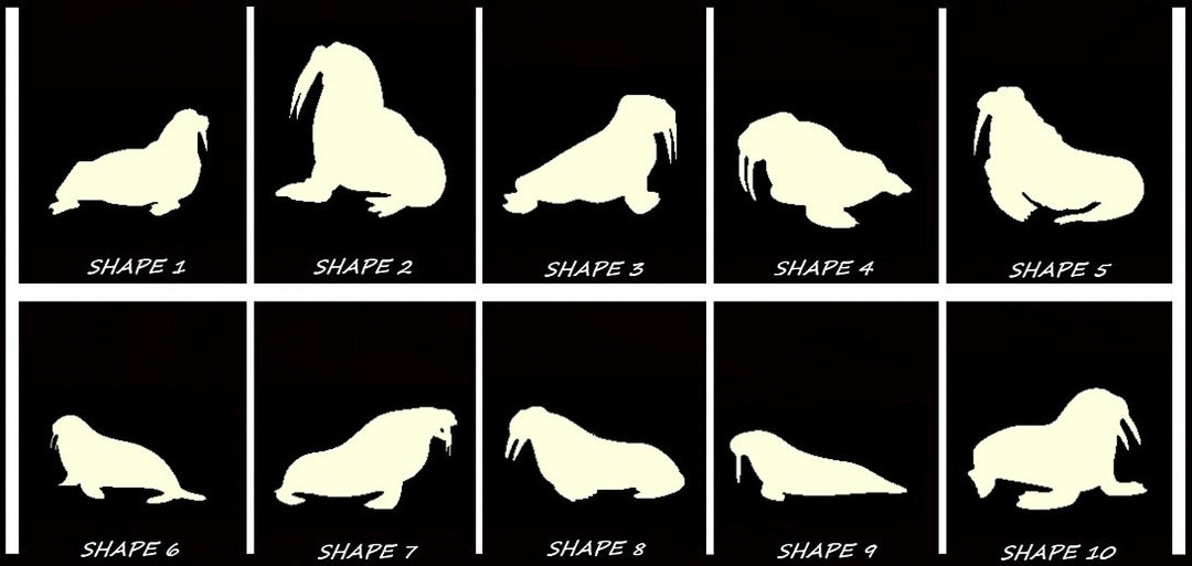 Smooth Laser Cut Walrus Shape Unfinished Cutout Multiple Sizes, Styles ...