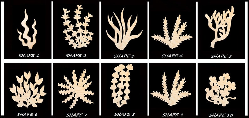 Smooth Laser Cut Seaweed Shape Set 1 - Unfinished Cutout - Many Sizes ...
