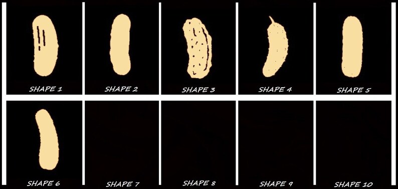 Smooth Laser Cut Dill Pickle Shape Unfinished Cutout - Etsy