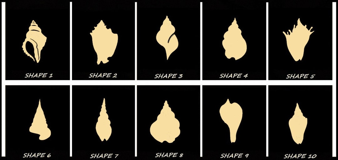 Smooth Laser Cut Conch Shell Shape Unfinished Cutout Multiple Sizes ...