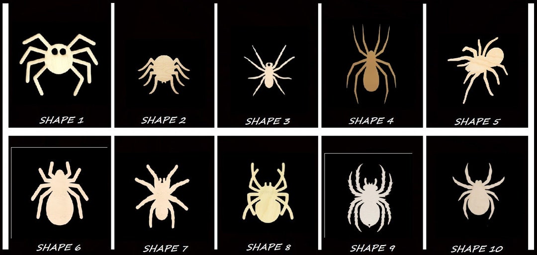 Smooth Laser Cut Spider Shape Set 1 - Unfinished Cutout - Many Sizes ...