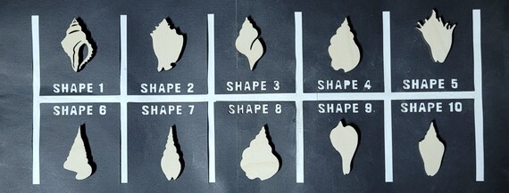 Smooth Laser Cut Conch Shell Shape Unfinished Cutout - Etsy