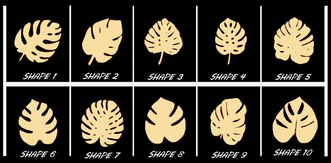 Smooth Laser Cut Monstera Leaf Shape Unfinished Cutout - Etsy
