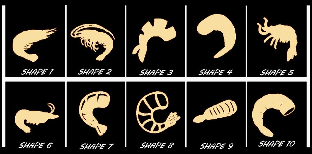 Smooth Laser Cut Shrimp Shape Unfinished Cutout Multiple Sizes, Styles ...