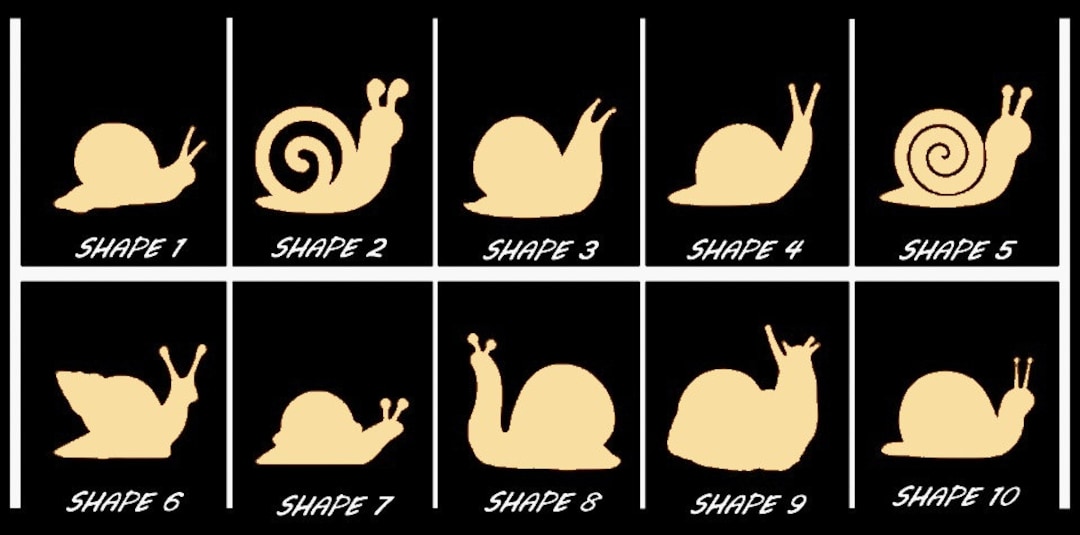 Smooth Laser Cut Snail Shape Set 1 - Unfinished Cutout - Many Sizes ...