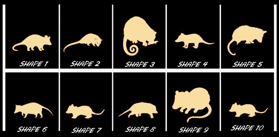 Smooth Laser Cut Opossum Shape Set 1 - Unfinished Cutout - Many Sizes ...