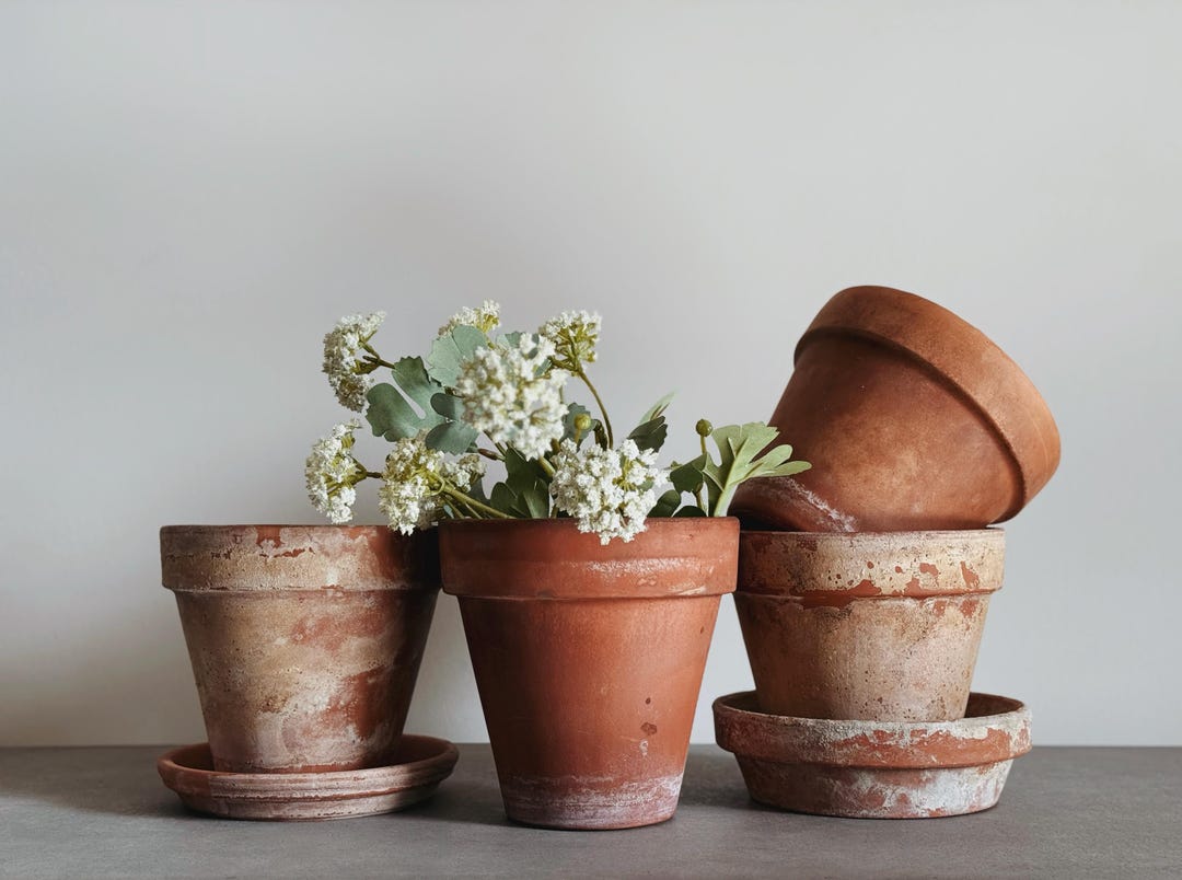 VINTAGE | Assorted Aged Terracotta Pots | Rustic European Style ...