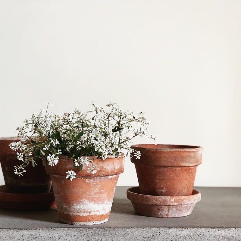 Aged Terracotta Pots - Etsy