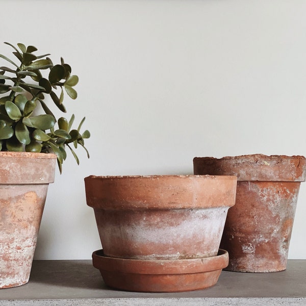 Antique Farmhouse Planters - Etsy