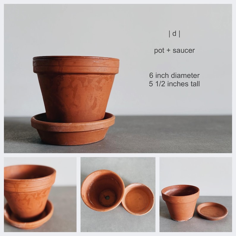 VINTAGE | Assorted Aged Terracotta Pots | Rustic European Style ...