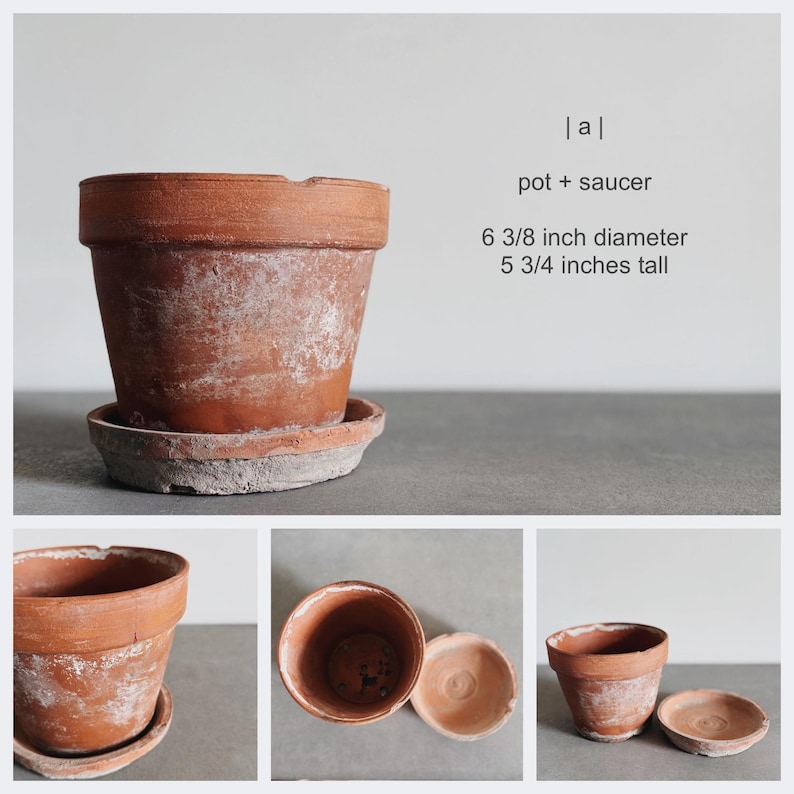 VINTAGE | Assorted Aged Terracotta Pots | Rustic European Style ...