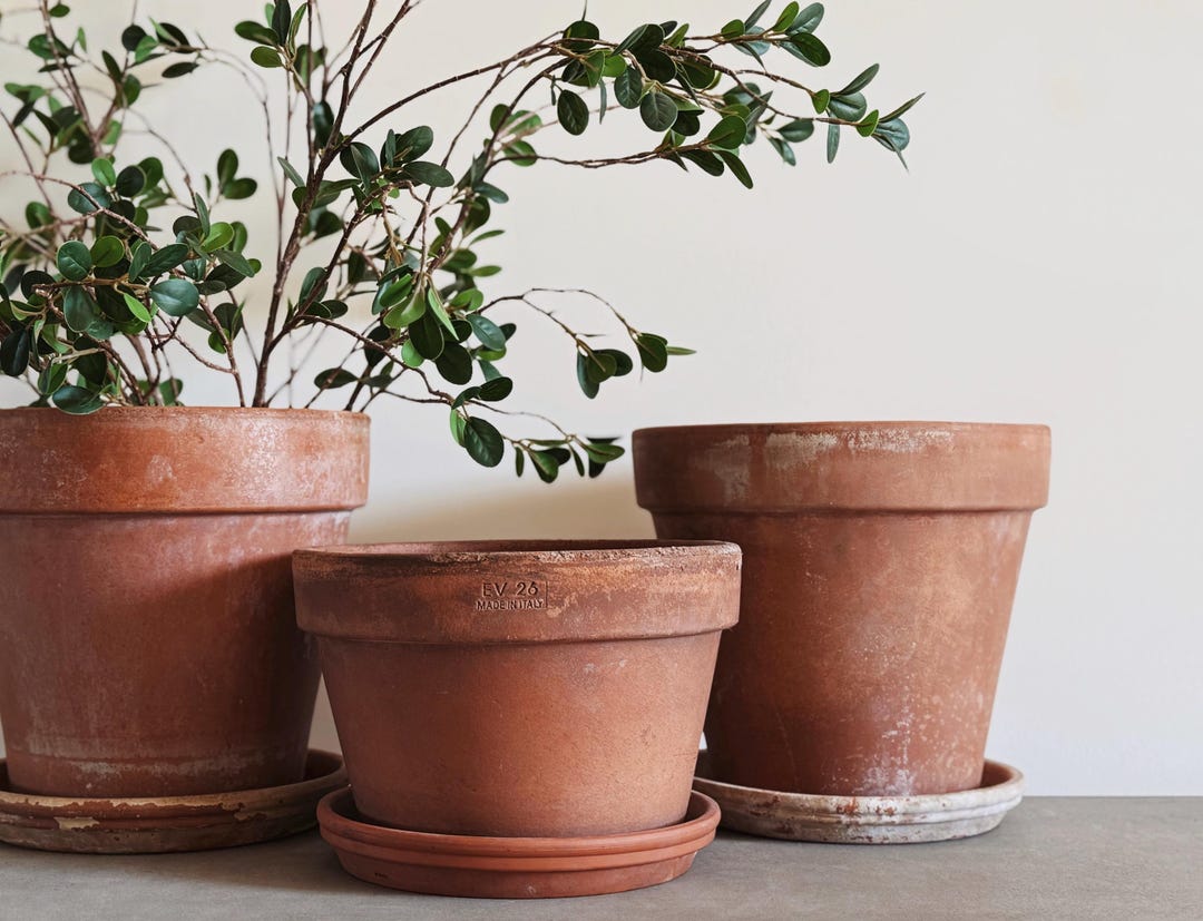 VINTAGE | Assorted Aged Terracotta Pots | European Style Farmhouse | XL ...