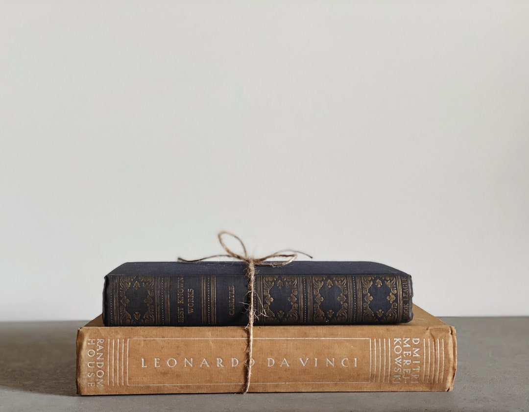 VINTAGE Book Stack the Romance of Leonardo Da Vinci Dark Academia Best ...