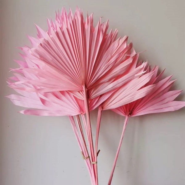 Dried Palm Leaves - Etsy