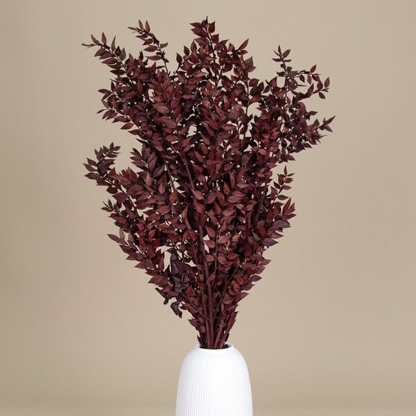 Dried Flowers - Etsy