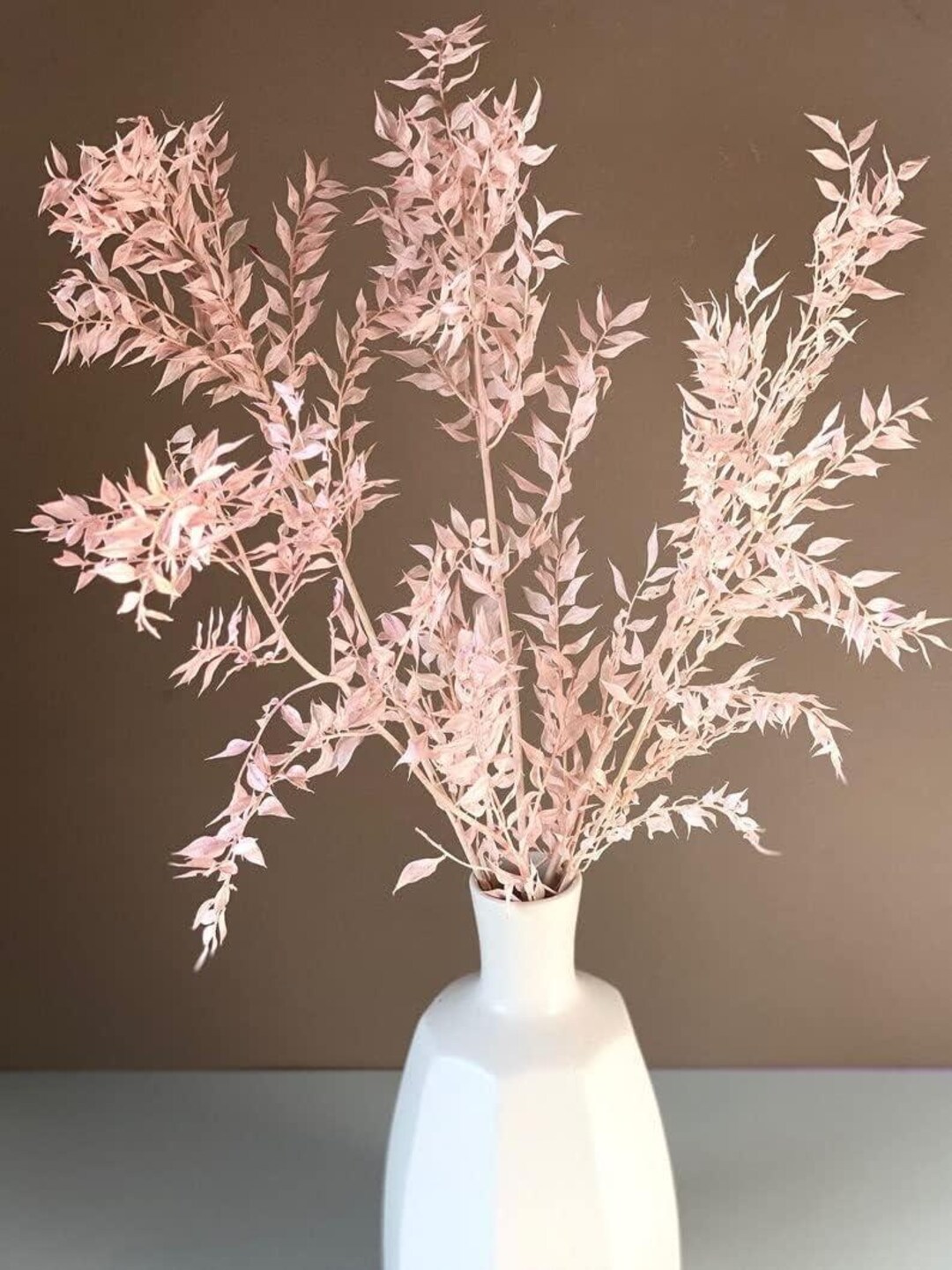 Light Pink Preserved Italian Ruscus Stems, Bleached Flowers - Etsy