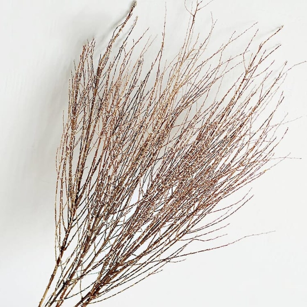 Snow Willow Branches Preserved - 10 Stem 2-3 Ft / Natural Branches - Etsy