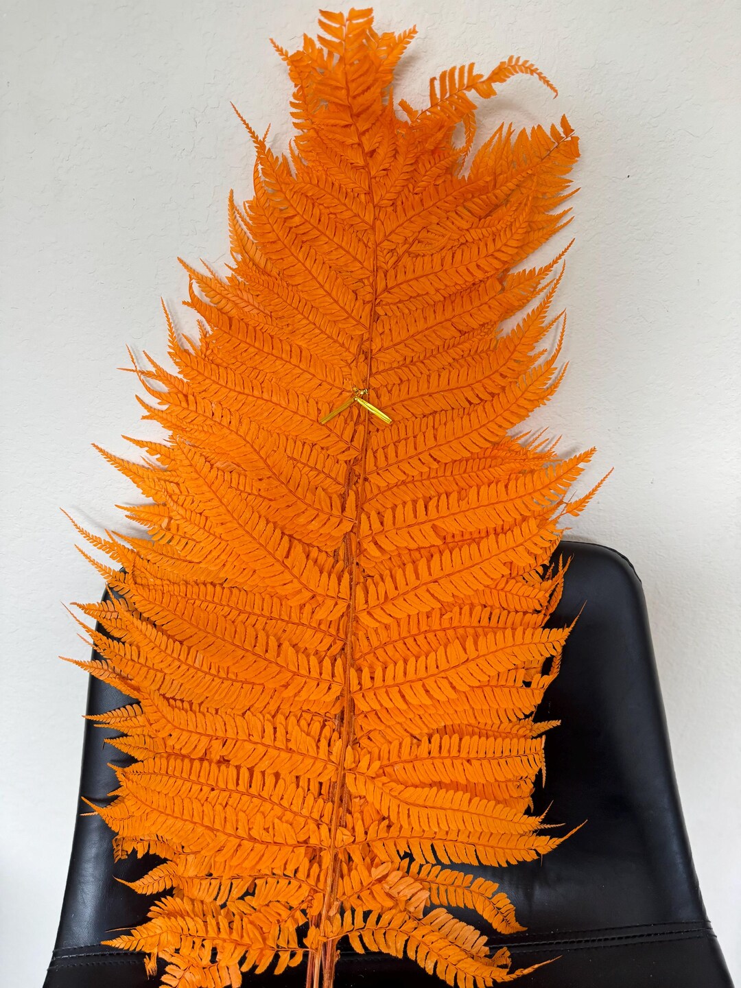 Orange Long Dried Fern - 10 Stems / Big Fern / Preserved Fern / Dried ...