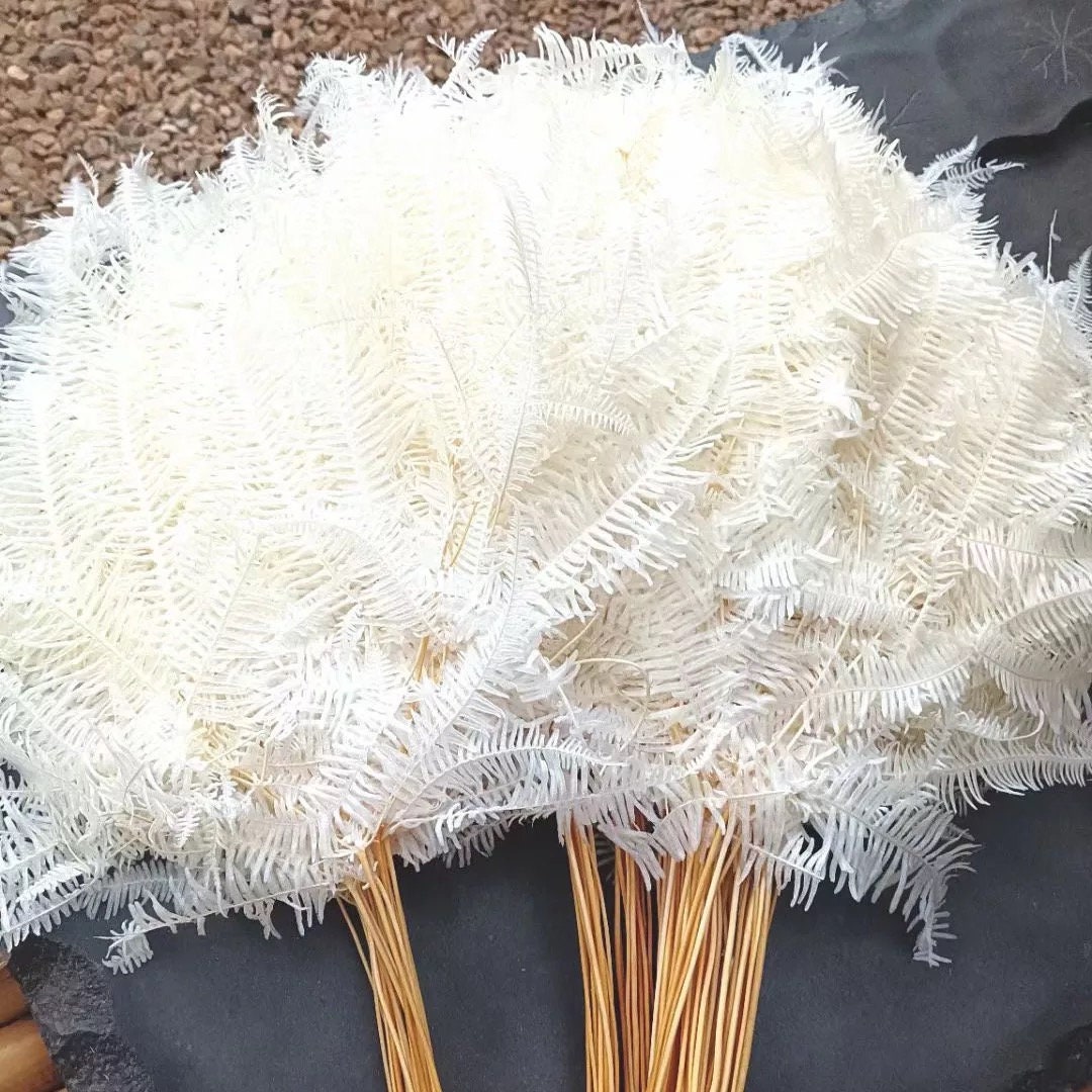 Bleach Fern Leaves - Etsy