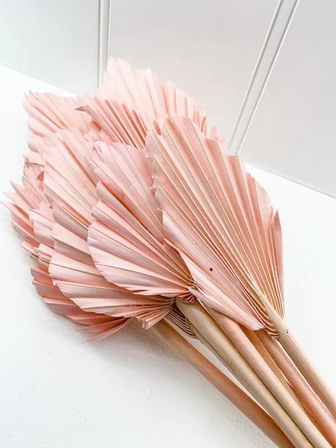 Pink Dried Spear Palm Leaves / Dried Palms / Natural Palms / Palm Frond ...
