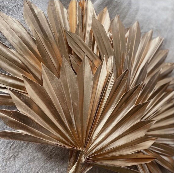Dried Sun Palm