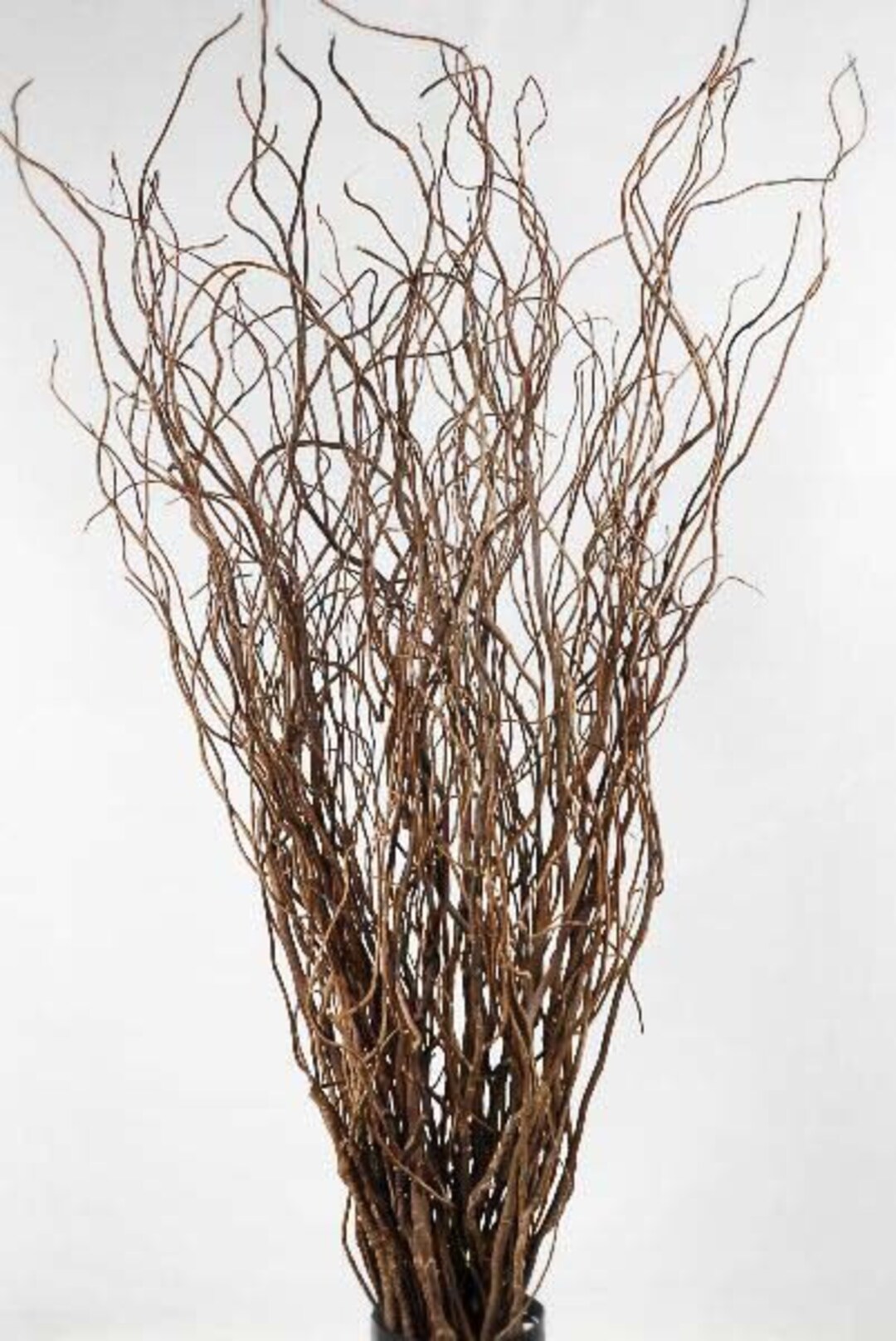 Natural Curly Willow Branches Tips 2-3 FT Brown 10 Stems / Brown ...