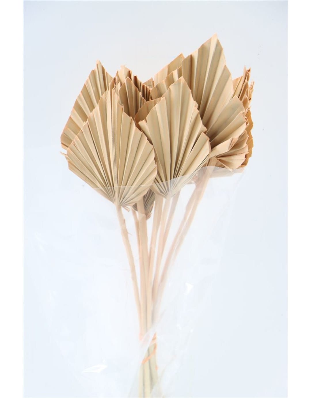 Dried Spear Palm Leaves Mini / Dried Palms / Natural Palms / Palm Frond ...