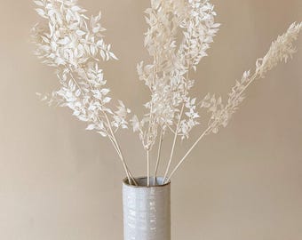 Bleached Italian Ruscus, Dried Ruscus, Dried Flowers, Wedding Flowers ...