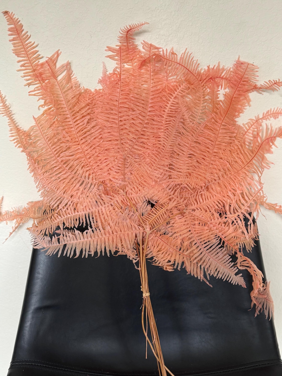 Pink/ Peach Dried Mountain Tiki Fern - 10 Stems / Preserved Fern / Pink ...