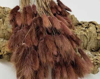 Rust Bunny Tails | Etsy