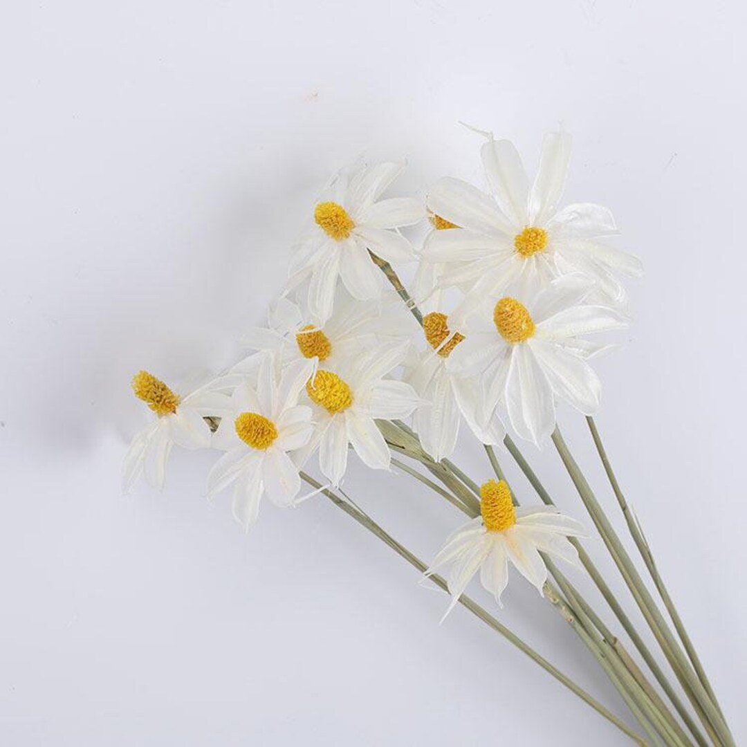 White Daisy Gemstone Flower 10 Stems / Bleached Flowers / Dried Flowers ...