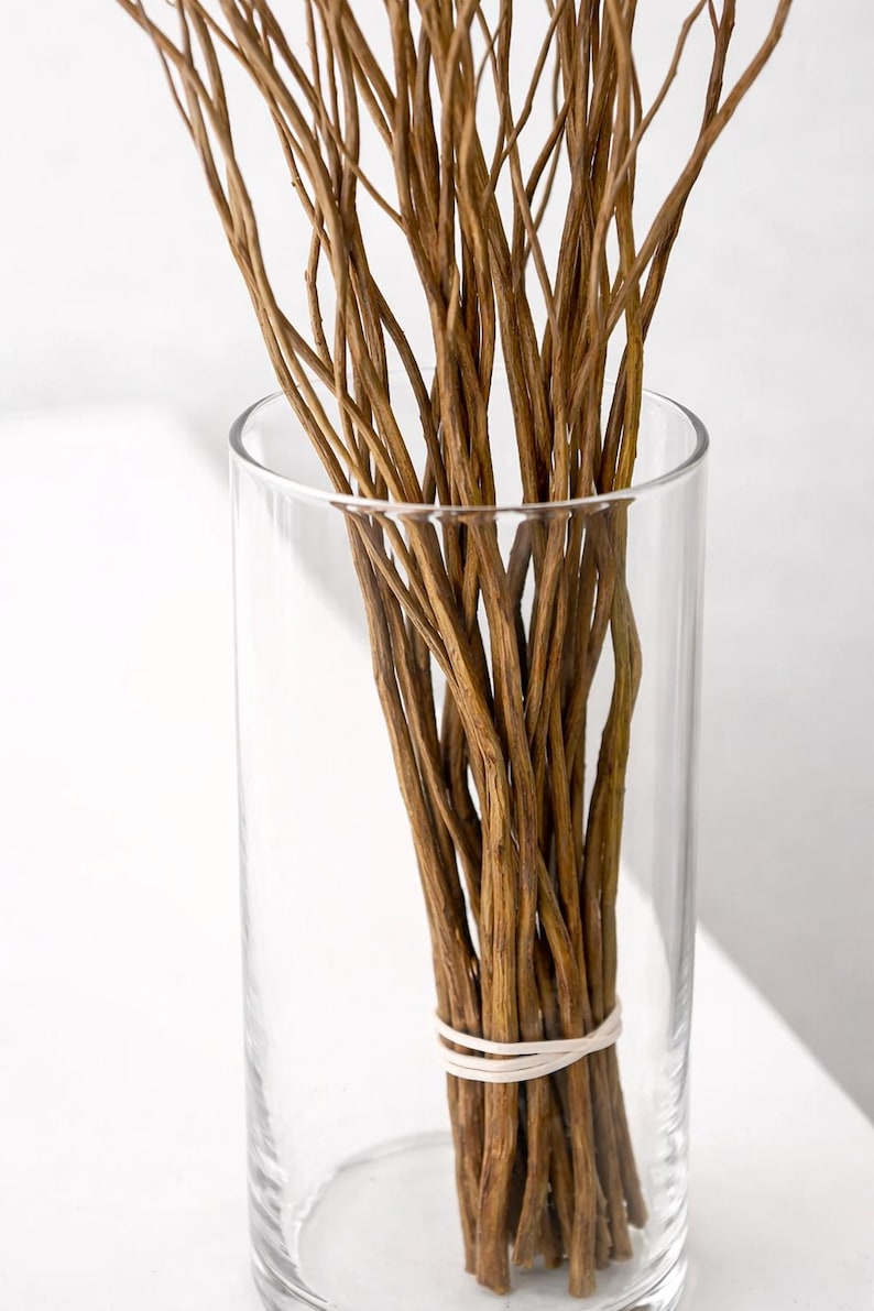 Curly Willow Branches | 10 Stems | 2–3 Ft Tall | Sculptural Natural ...