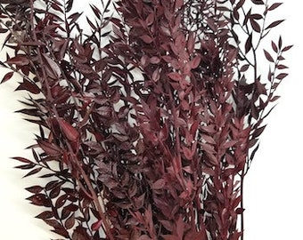 Italian Ruscus | Etsy