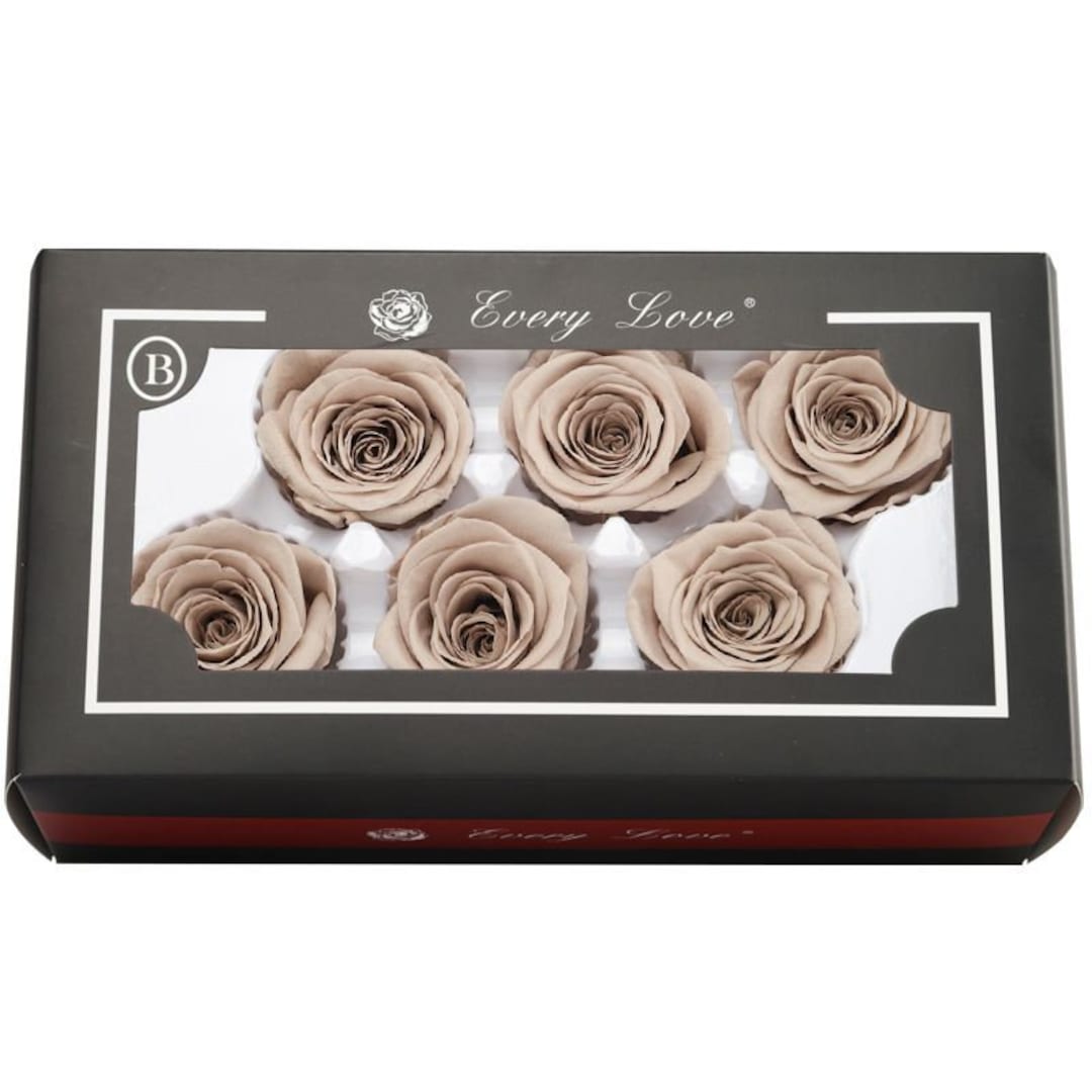 Preserved Natural Roses Eternity Roses Forever Roses 6 Pack Antique ...
