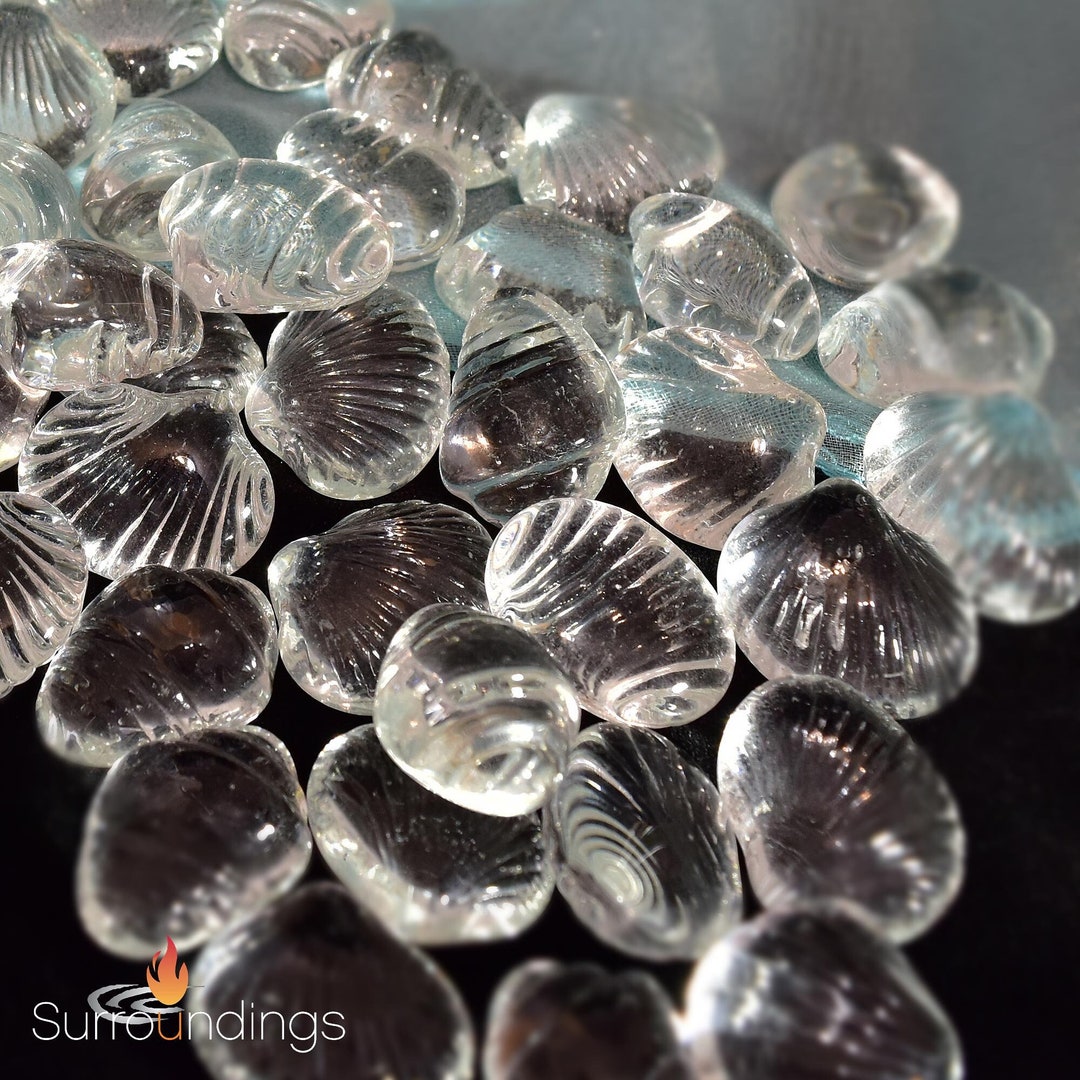 Clear Glass Shells 18 Pcs. - Etsy
