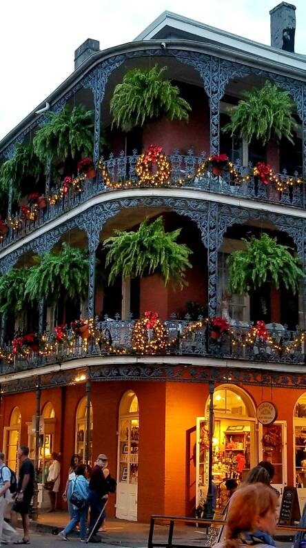 French Quarter Creole Oil 2 Dram Bottle - Etsy