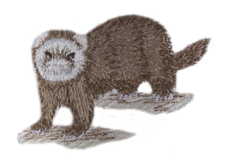 Ferret Embroidered Hat Baseball Cap Mom Cap Dat Hat Pet - Etsy