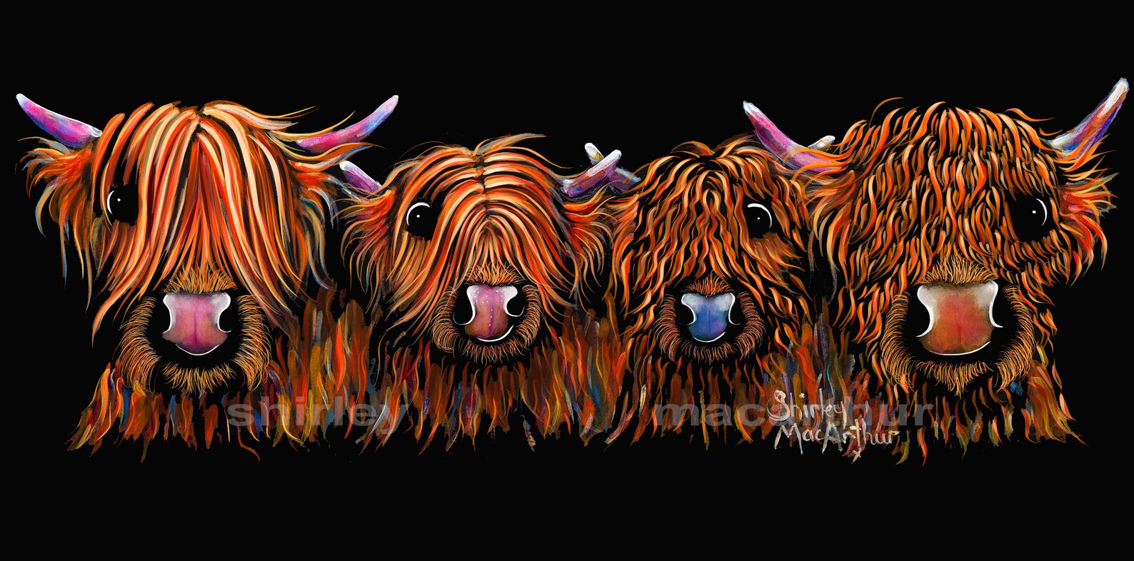 Highland Cow Print the Ginger Nuts Shirley Macarthur Cow | Etsy