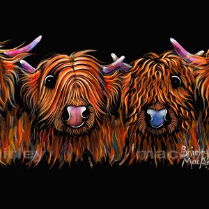 Highland Cow Print the Ginger Nuts Shirley Macarthur, Cow Gifts,cow ...