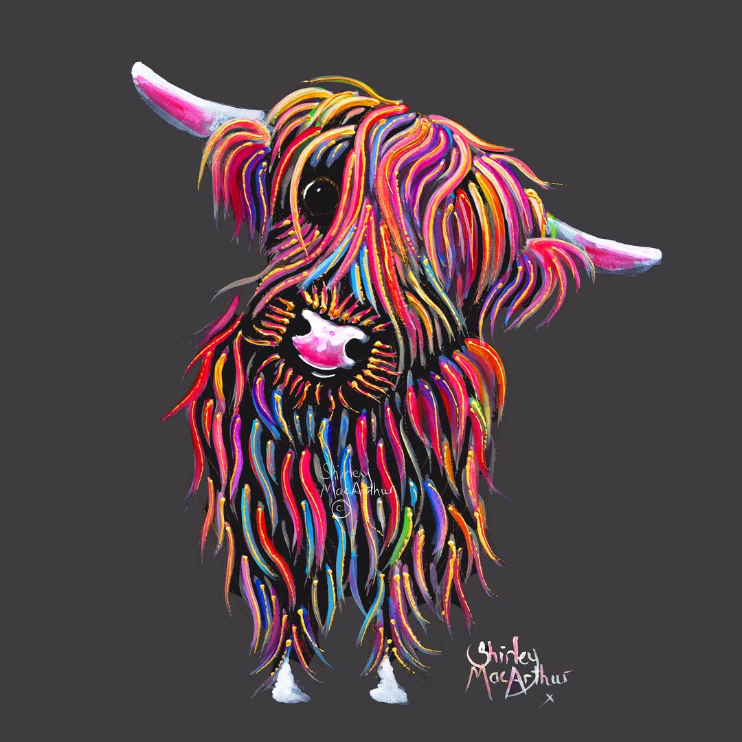 Highland Cow Print Bolly on Grey Shirley Macarthur, Cow Art, Cow Gifts ...