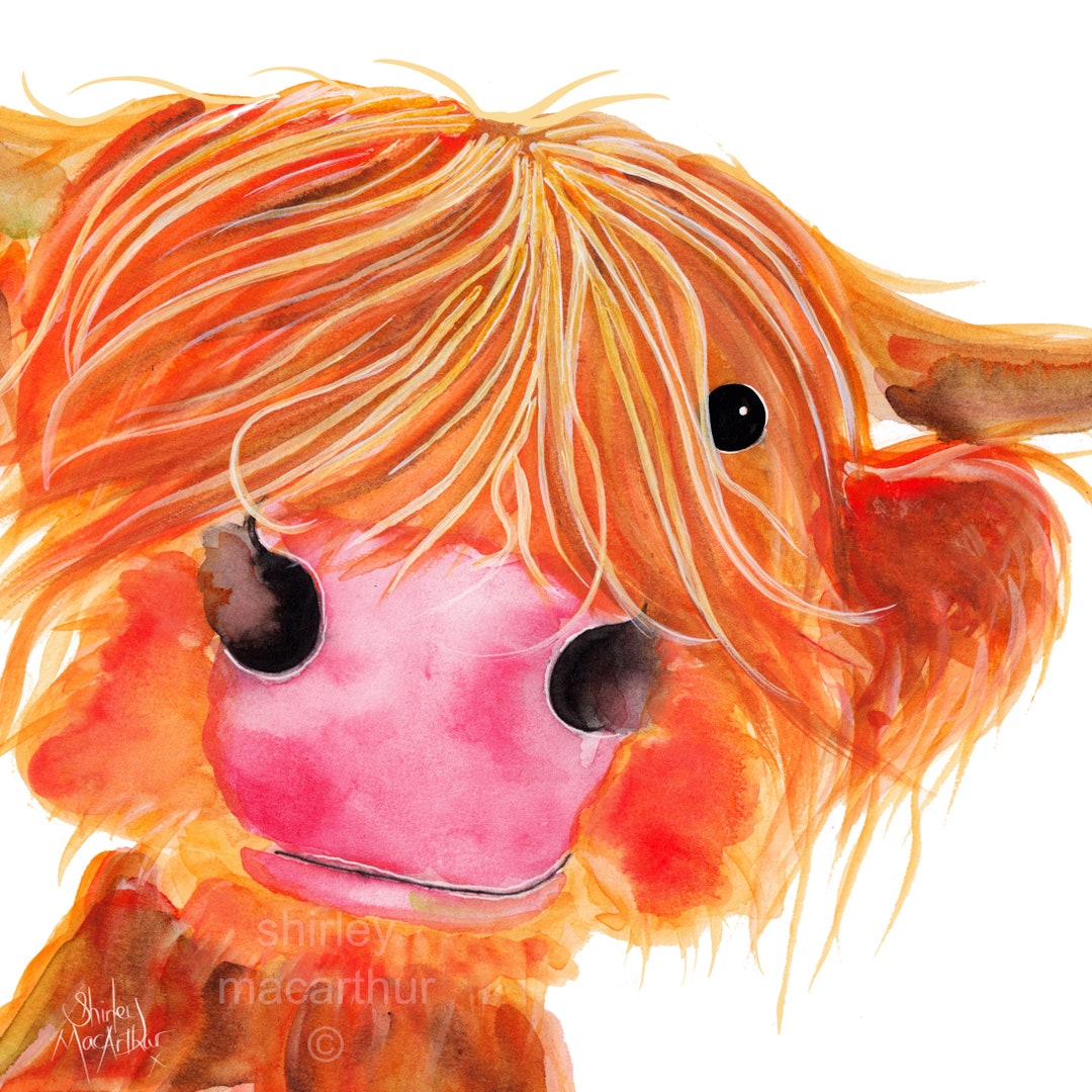 Cheeky/cute Print in 3 SIZES of Original Watercolour Art Nosey Highland ...