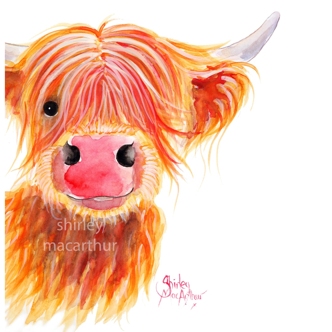 Highland Cow Print the Prince Shirley Macarthur Cow Art Cow - Etsy Canada
