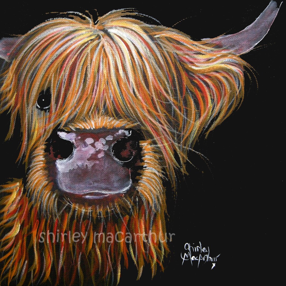 Highland Cow Print 'HENRY ' Shirley Macarthur, Cow Art, Cow Gifts, Cow ...