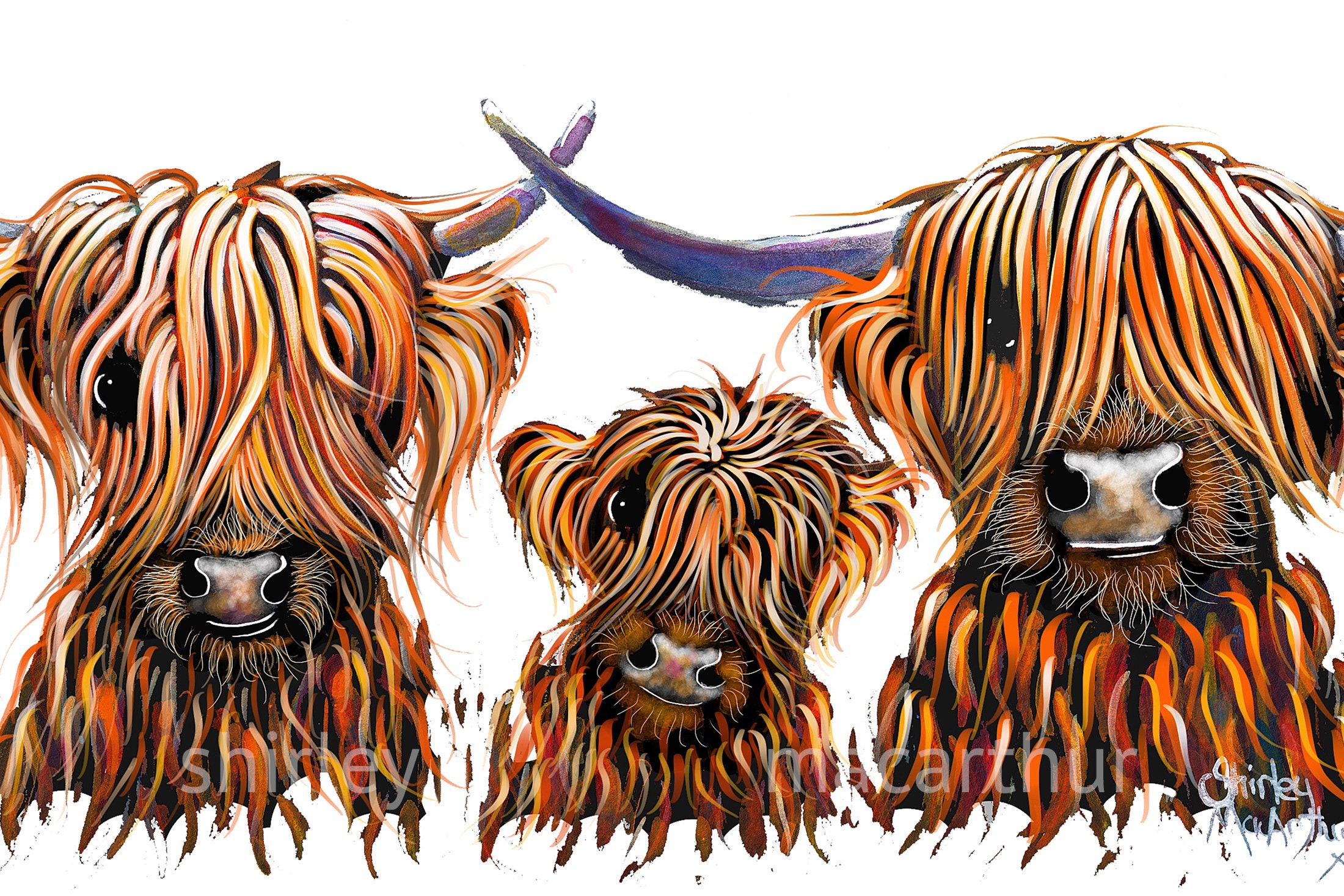 Highland Cow Print Tangerines ' Shirley Macarthur Cow | Etsy