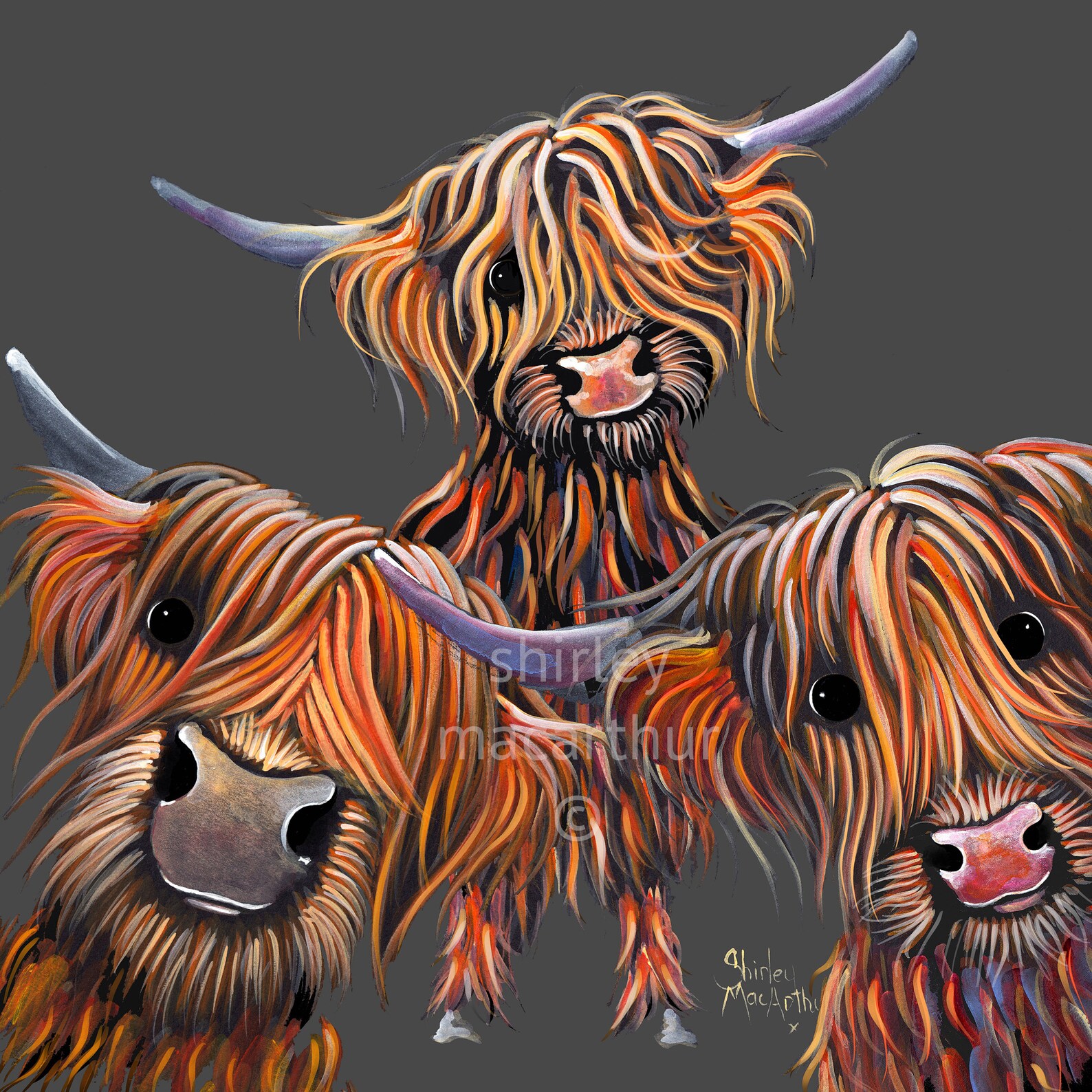 Highland Cow Print the Baked Beans shirley Macarthur Cow | Etsy